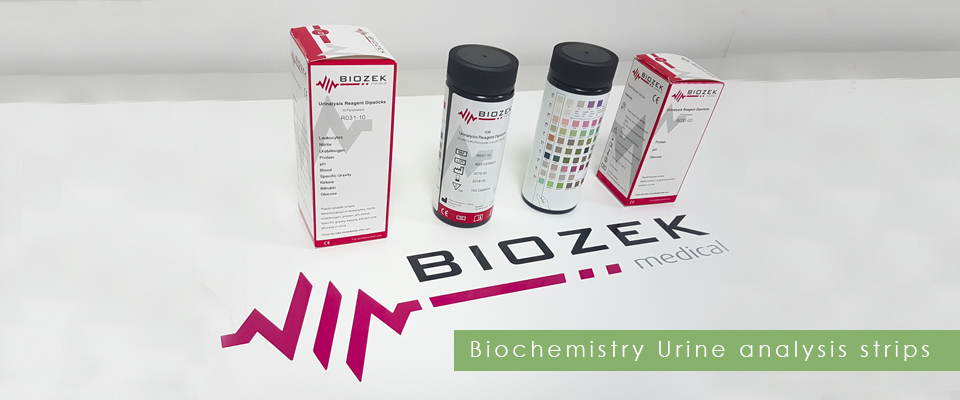Inzek International | Biotechnology & Scientific Discovery